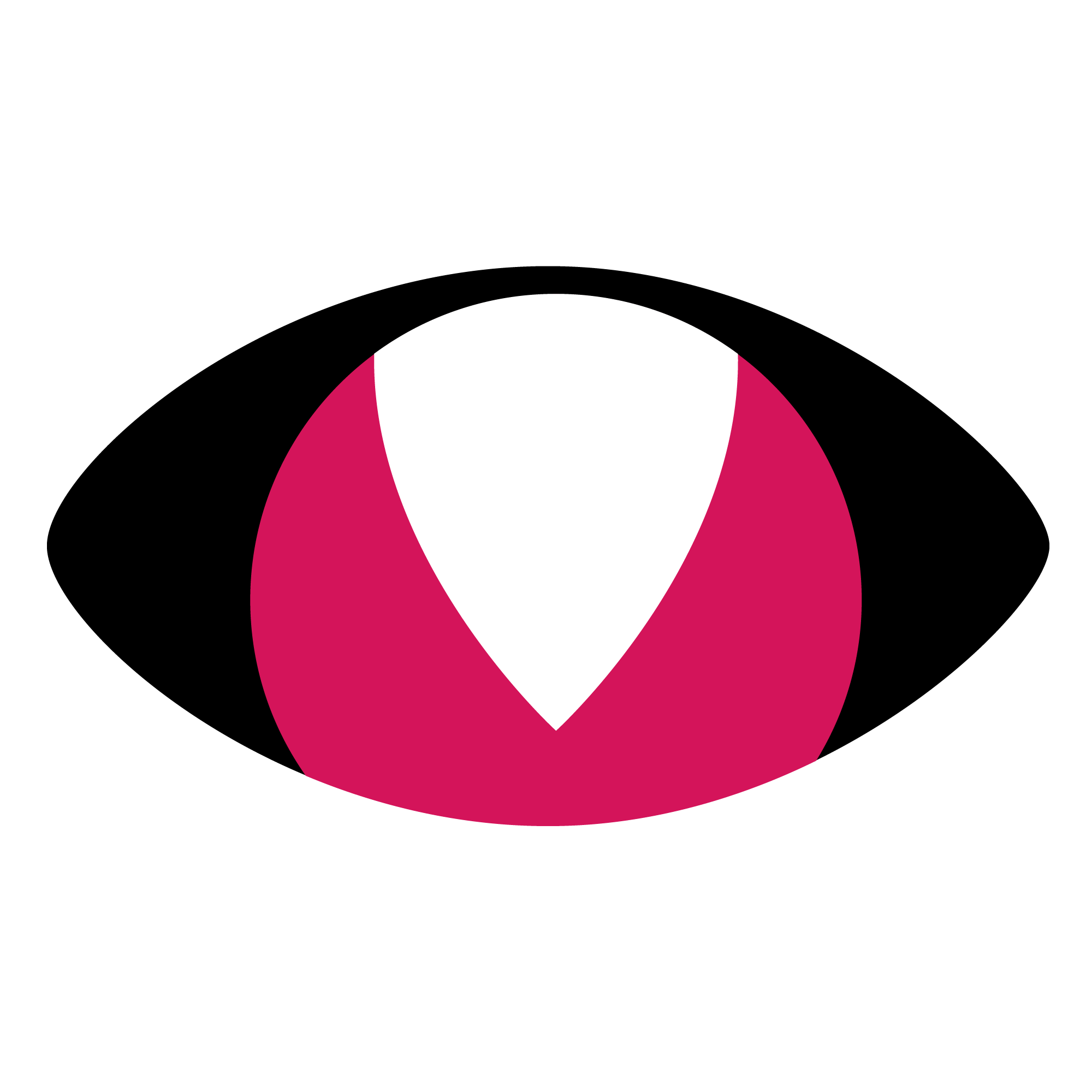 Portfolio | Manic Vision